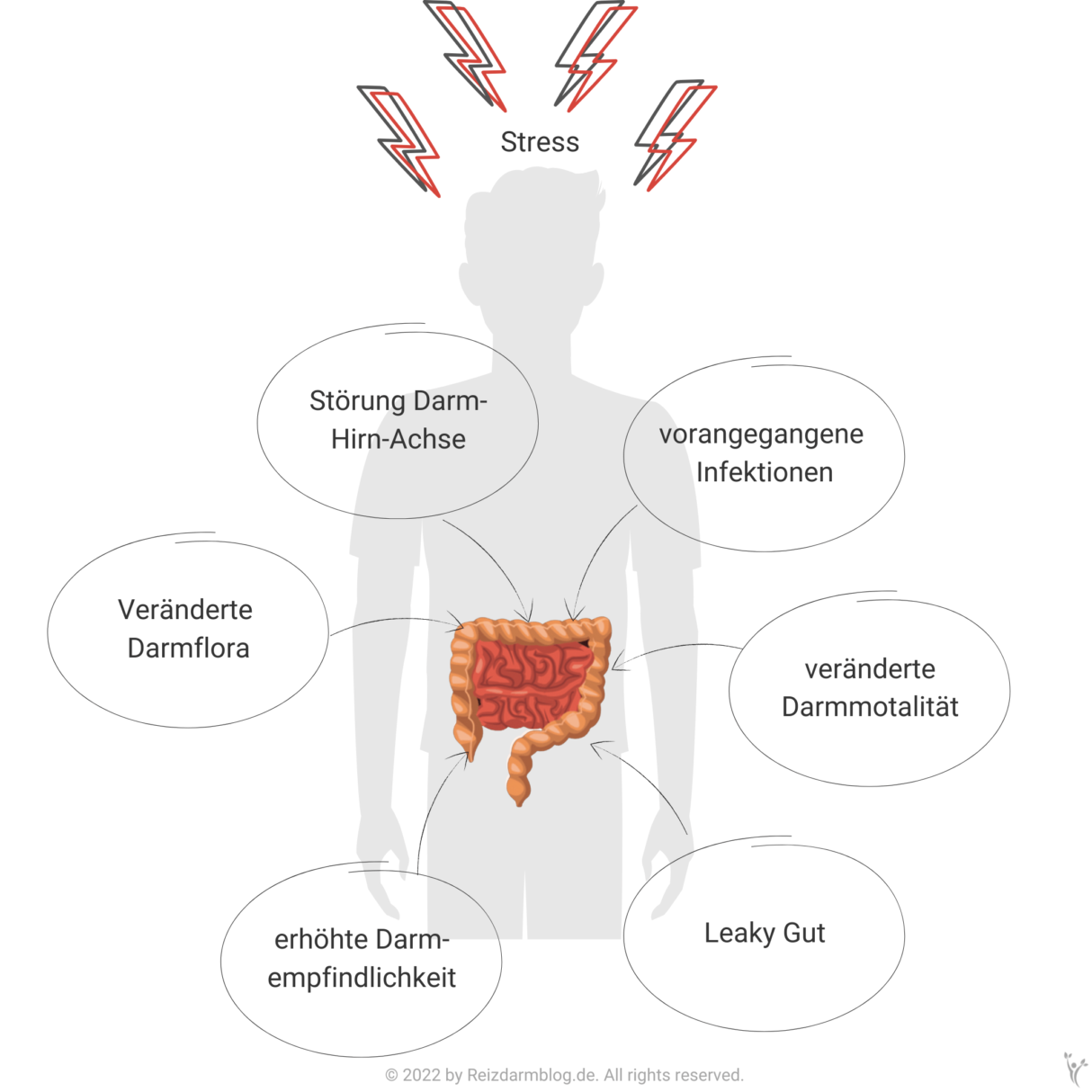 Symptome beim Reizdarmsyndrom | ↪ Reizdarmblog.de ↩